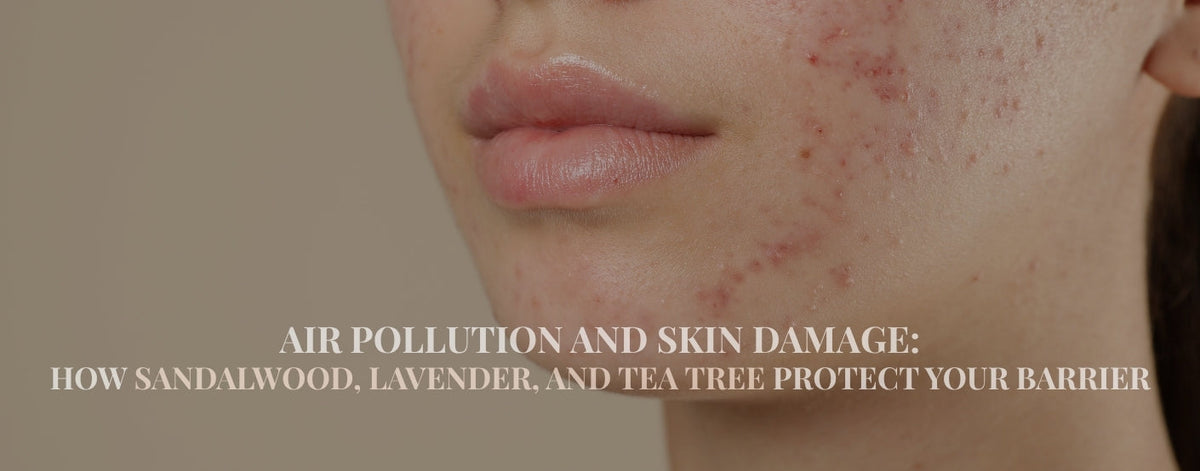 Air Pollution and Skin Damage: How Sandalwood, Lavender, and Tea Tree ...