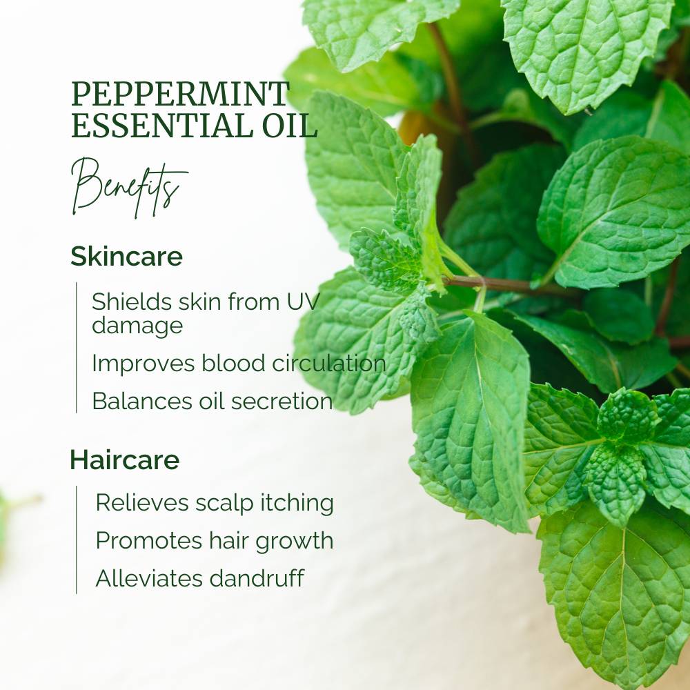 Peppermint Essential Oil | For Soothing Irritated Skin | CAMIA